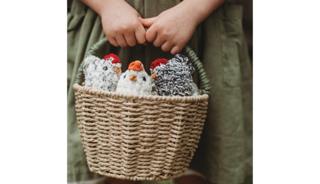 Chicken General Store: Chic(k) Poultry Products - Hobby Farms
