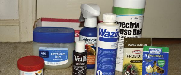 Include These Items In Your Chicken First-Aid Kit - Hobby Farms