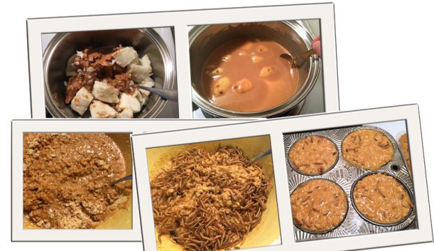 Attract Specific Bird Types With A Customized Suet Cake - Hobby Farms