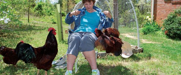 Meet the Alpha Hen: Every Flock Has One - Hobby Farms