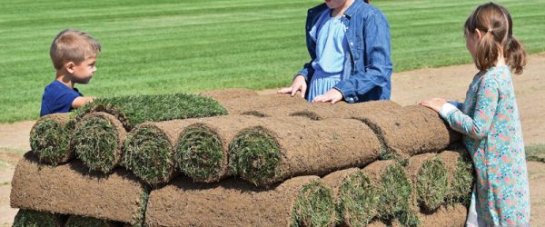 How To Start A Turf Farm On Your Acreage - Hobby Farms