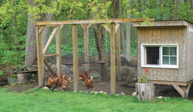 Follow These Tips When Adding Any Farm Outbuilding - Hobby Farms