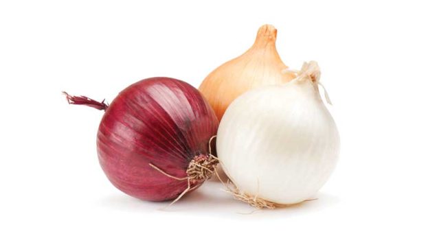 Root Cellar Storage Guide: From Apples To Turnips - Hobby Farms