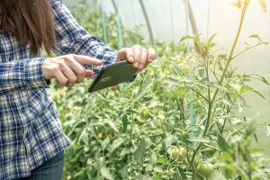 Keep A Garden Journal To Record Growth & Changes - Hobby Farms
