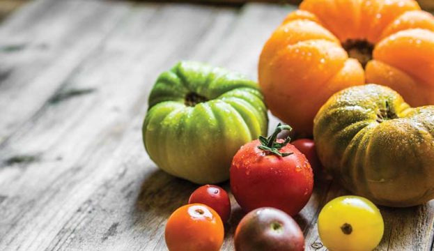 Top 10 Profitable Crops for Tidy Profits - Hobby Farms