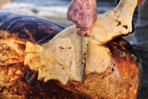 Learn The ABCs Of Home Hog Butchering - Hobby Farms
