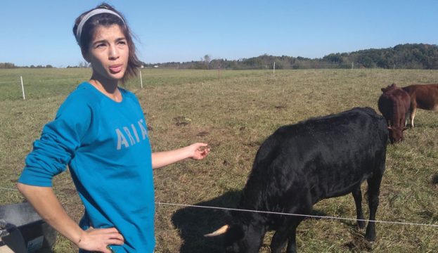 Pursuing A (Literal) Dream Of Living The Farming Life - Hobby Farms