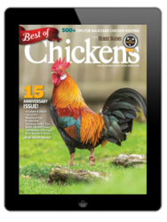2025 Best of Chickens Digital - Hobby Farms