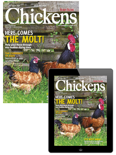 Chickens Combo Edition Hobby Farms