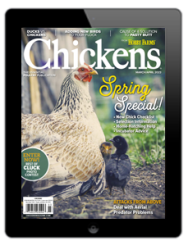 Chicken Subscription Archives - Hobby Farms