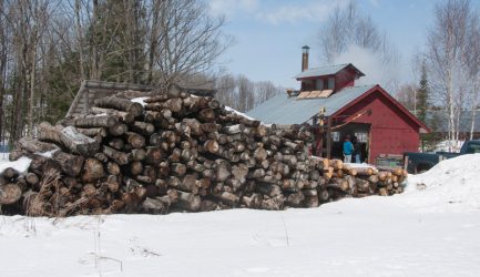 The Woodlot Offers Numerous Benefits For Small Farms - Hobby Farms