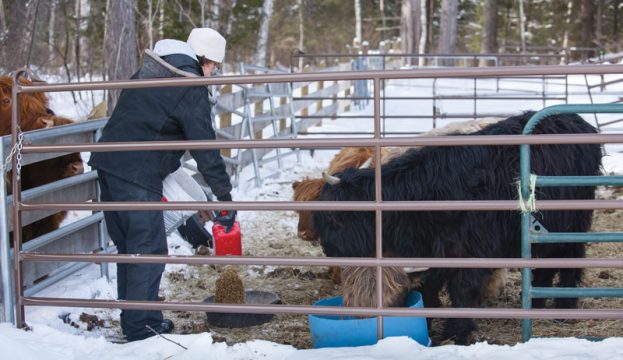 Improve Winter On The Farm With These 16 Tips & Tricks - Hobby Farms