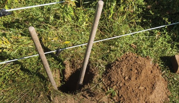 Hand Tools Get The Job Done Around The Farm - Hobby Farms