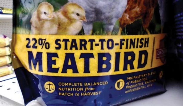 Check Out This Chick Season Equipment Checklist - Hobby Farms