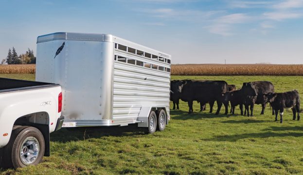 If You Own Livestock, You Need A Reliable Trailer - Hobby Farms