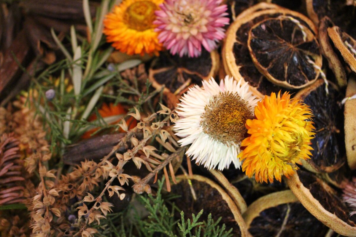 How to Make Homemade Fire Starters - Hobby Farms
