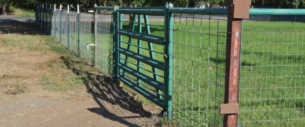 Livestock Fencing Keeps Animals In, Predators Out - Hobby Farms