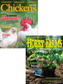 Hobby Farms + Chickens Print Magazine Combo Subscription - Hobby Farms