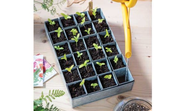 8 Farm Products for Your Homestead - Hobby Farms