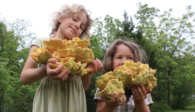 This Family Lives & Loves Off-Grid Vermont Homesteading - Hobby Farms