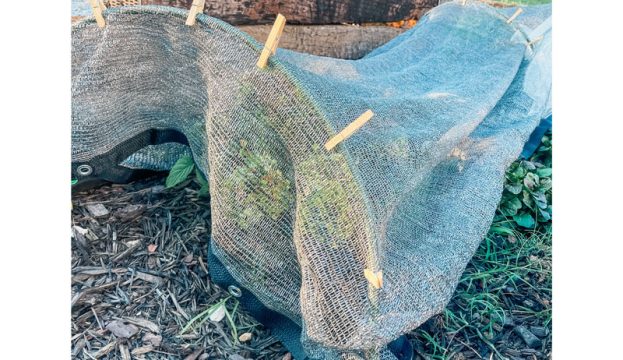 How to Make a Shade Cloth For Plants - Hobby Farms