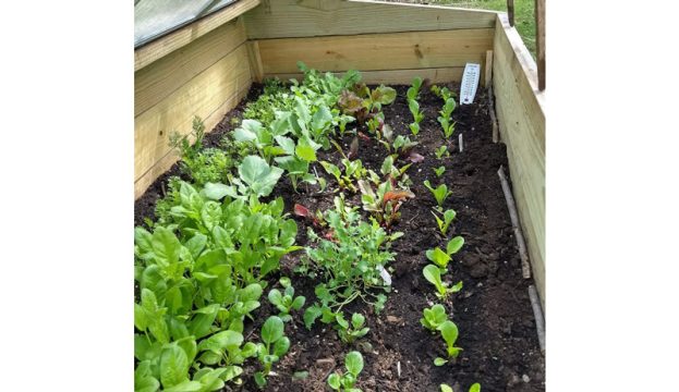 Use A Cold Frame To Jump-Start Your Growing Season - Hobby Farms