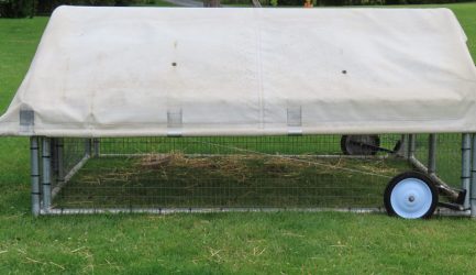 Chicken Tractor: Free Ranging in a Moveable Run - Hobby Farms