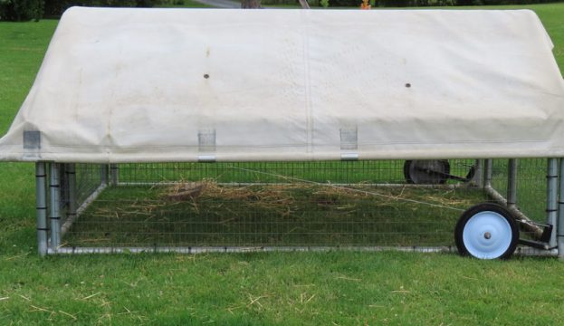 Chicken Tractor: Free Ranging in a Moveable Run - Hobby Farms