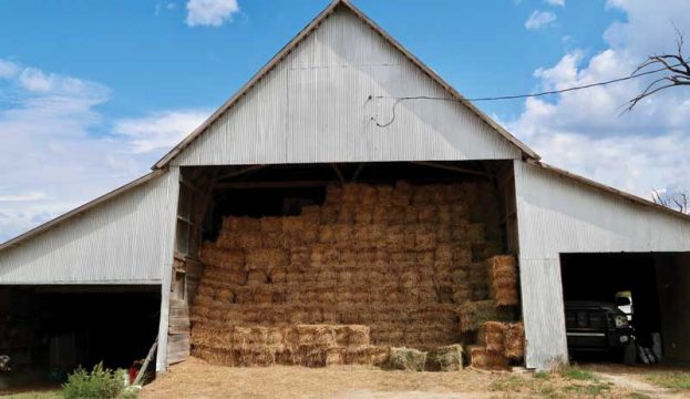 sheds - Hobby Farms
