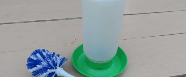 How to Clean a Chicken Coop: Tips to Do It Right - Hobby Farms