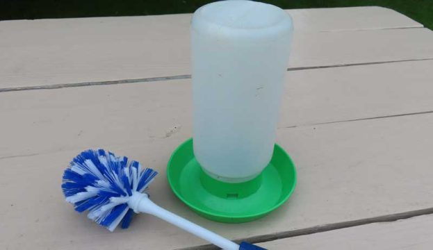 How to Clean a Chicken Coop: Tips to Do It Right - Hobby Farms