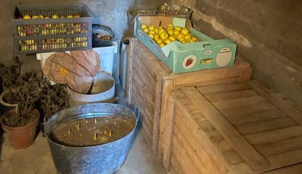 Scandinavian Root Cellars Are Unique & Effective - Hobby Farms