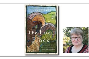 The Boreray Sheep Of Orkney (Excerpt, "The Lost Flock") - Hobby Farms