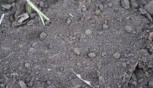 Ask These Questions Before Purchasing Farmland - Hobby Farms