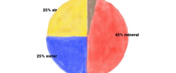 What To Know About Healthy Soil (Part 1) - Hobby Farms