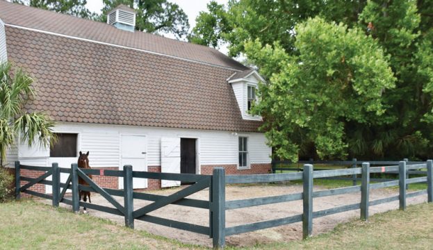 Livestock Fencing 101: Essential Farm Advice - Hobby Farms