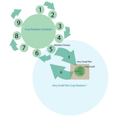 Crop Plot Rotation In Very Small Spaces (Infographic) - Hobby Farms