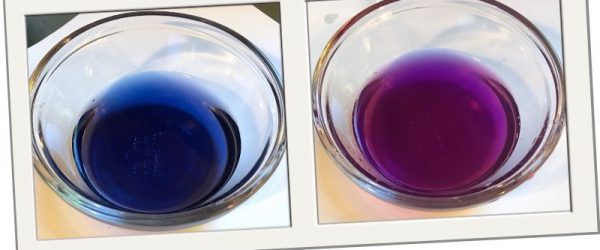 Sweet, Springtime Flowers Make A Unique Violet Jelly - Hobby Farms