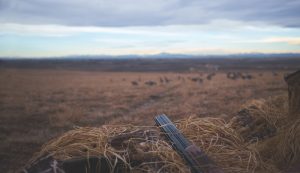 On The Farm, A Gun Can Offer Protection & More - Hobby Farms