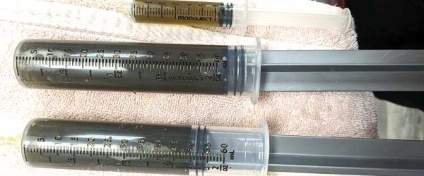 Treating Water Belly (Ascites) In A Chicken - Hobby Farms