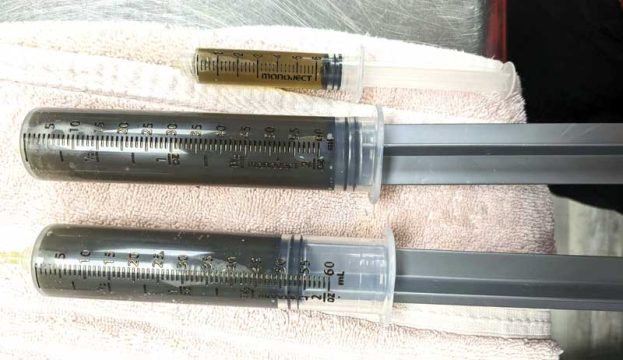 Treating Water Belly (Ascites) In A Chicken - Hobby Farms