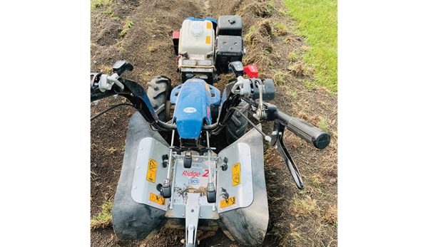 Tips For Starting First-Year Garden Beds (Part Two) - Hobby Farms