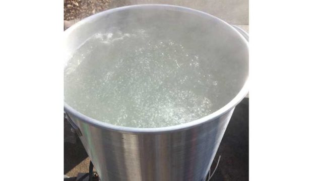 Tapping a Maple Tree: Basic Supplies Guide - Hobby Farms