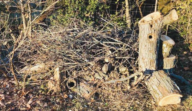 6 Ways To Put Your Brush Pile To Work - Hobby Farms