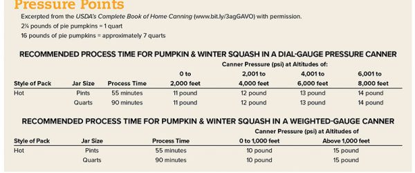 Can Your Pumpkin For On-Demand, Anytime Pie Puree - Hobby Farms