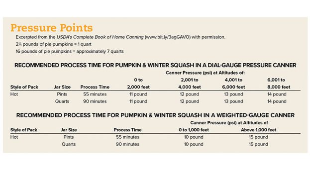 Can Your Pumpkin For On-Demand, Anytime Pie Puree - Hobby Farms