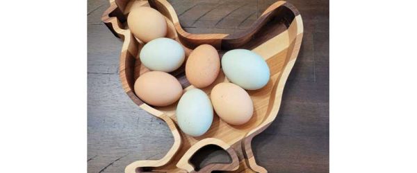 Chicken General Store: Gifts, Decor & More! - Hobby Farms