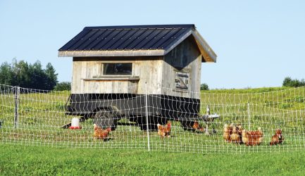 Build This DIY Weasel Box To Keep Your Hens Safe - Hobby Farms