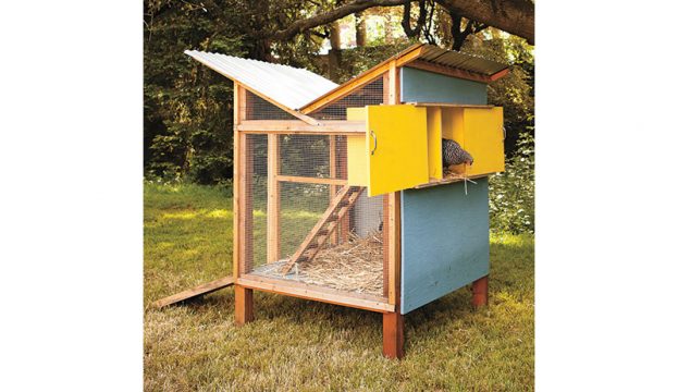Check Out These 5 Funky Chicken Coop Designs! - Hobby Farms