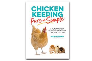 Activities For Kids & Chickens (Book Excerpt) - Hobby Farms